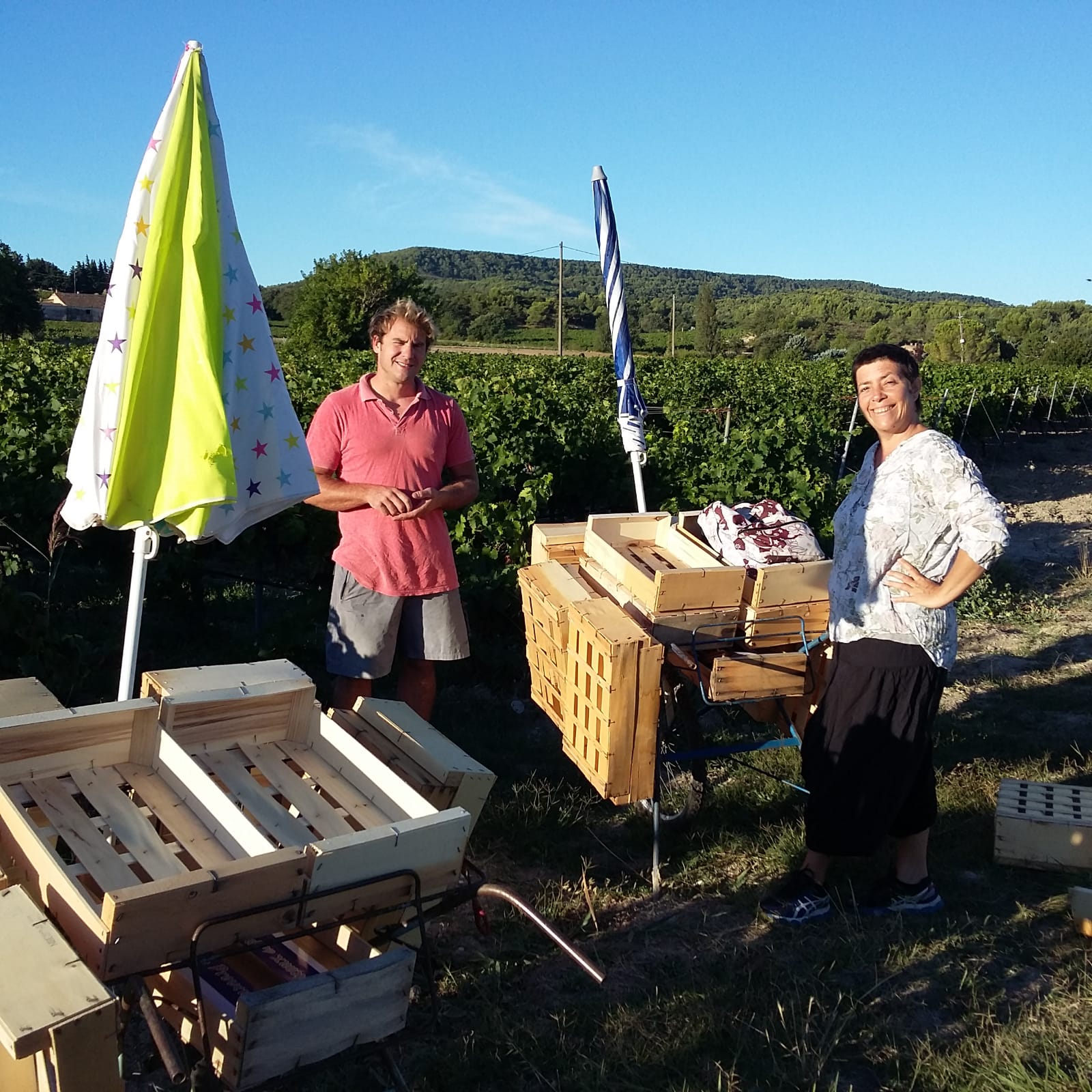 Première journée de raisin de table – La Ferme des ARNAUD